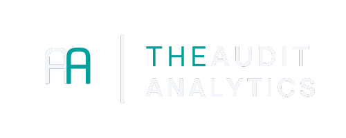 Practical Data Analysis for Auditors